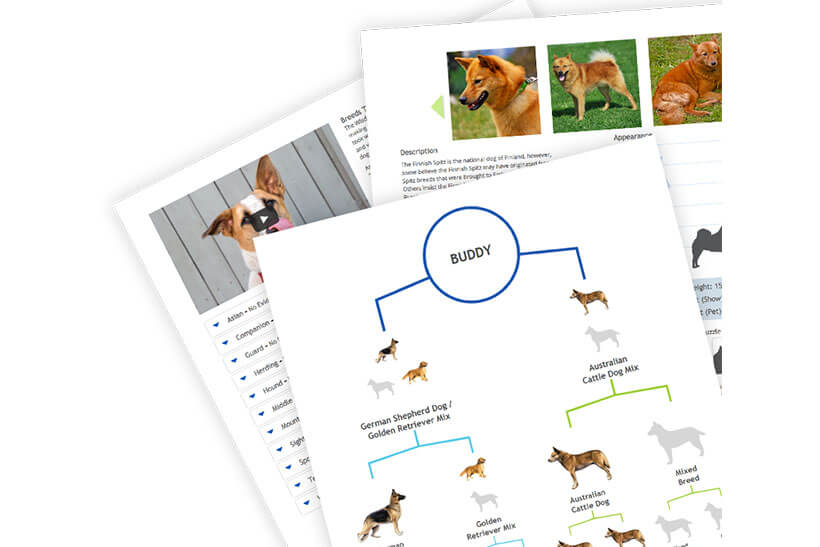 Wisdom Panel Accuracy - Top 10 DNA Tests
