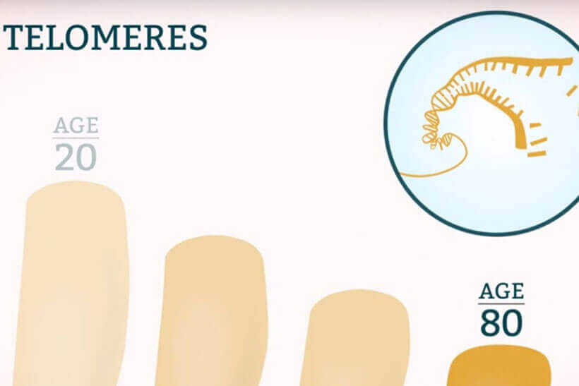 Is TeloYears Legit? - Top 10 DNA Tests