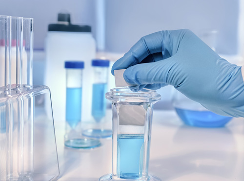 Sibling DNA Test Results Explained - Top 10 DNA Tests